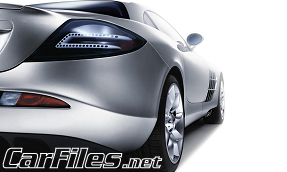 Professional tuning files supplier-DPF removal-Software service